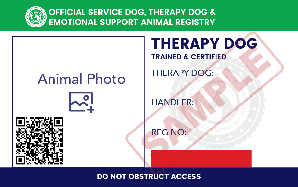 57 Droll Dog Therapy Certification Photo 4K Uk bleumoonproductions